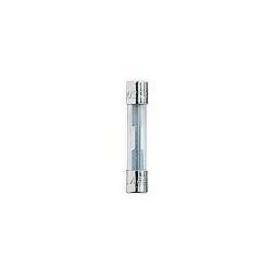 FUSE MINIATURE GLASS 10A 250V 1/4X1-1/4" | Guillevin