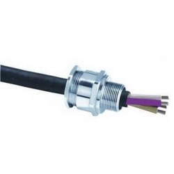 EGS Electrical Group - A2F CABLE GLAND 075NPT | Guillevin
